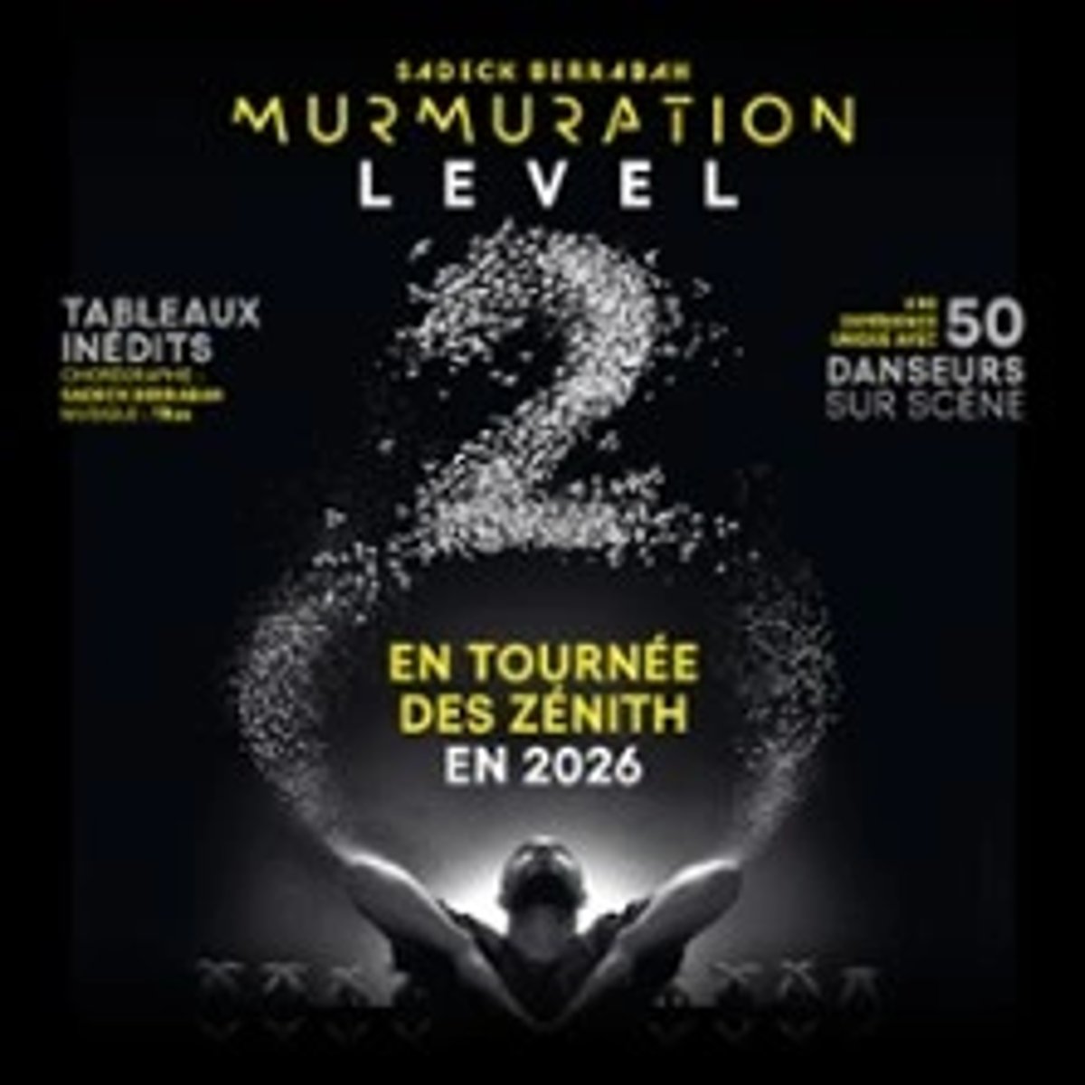 Spectacle de danse Murmuration Level 2, chorégraphié par Sadeck ...